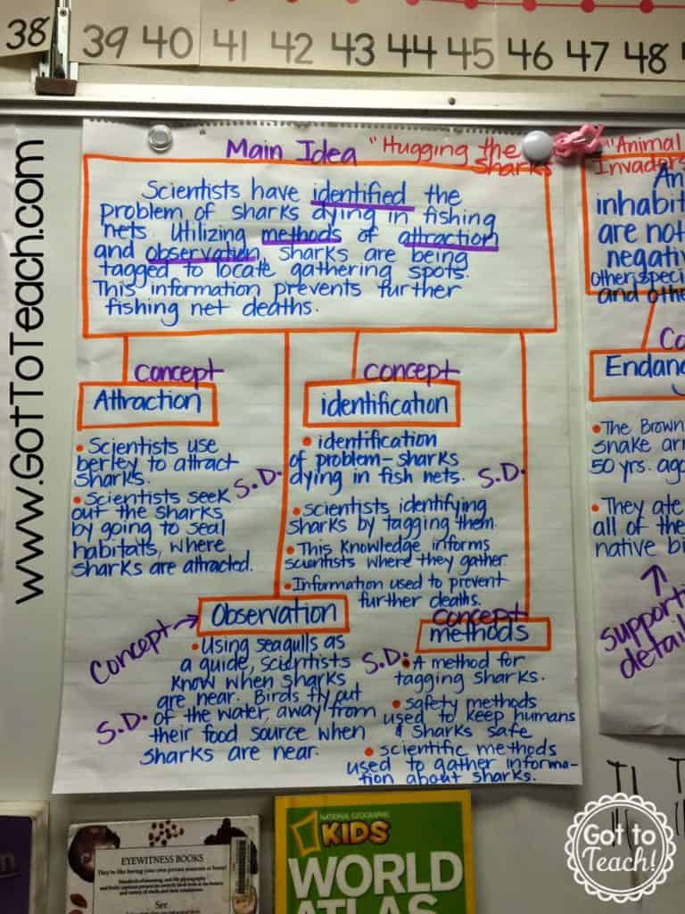 Classroom Anchor Charts • Teacher Thrive Classroom Anchor Charts