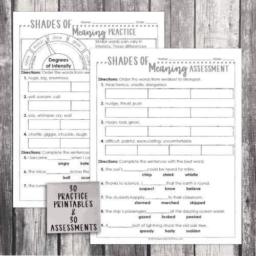 Third Grade Grammar Bundle • Teacher Thrive