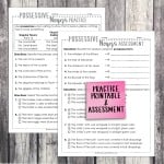 Third Grade Grammar: Possessive Nouns • Teacher Thrive