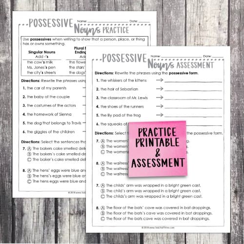 Third Grade Grammar: Possessive Nouns • Teacher Thrive