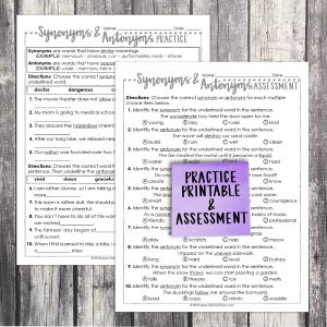 Fourth Grade Grammar: Synonyms and Antonyms • Teacher Thrive