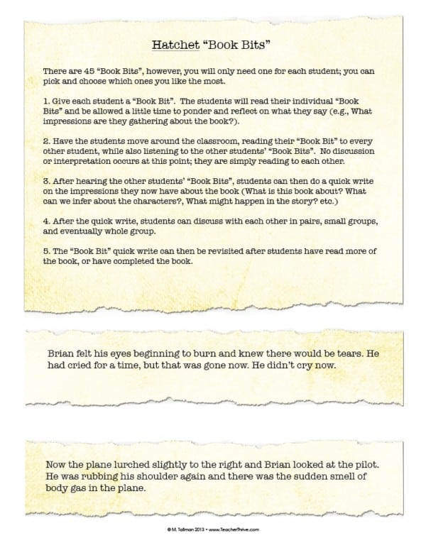 Hatchet Book Bits • Teacher Thrive