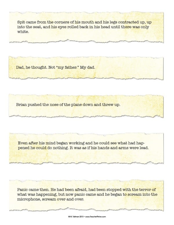 Hatchet Book Bits • Teacher Thrive