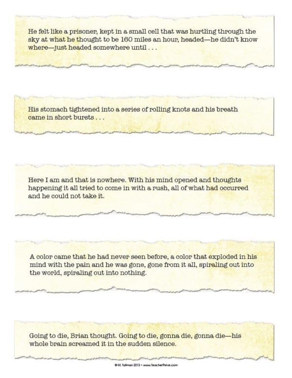 Hatchet Book Bits • Teacher Thrive