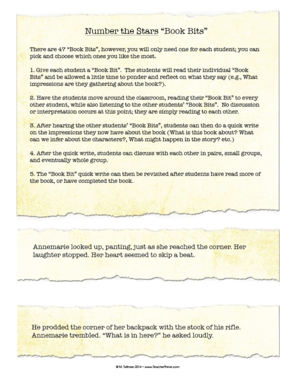 Number the Stars Book Bits • Teacher Thrive