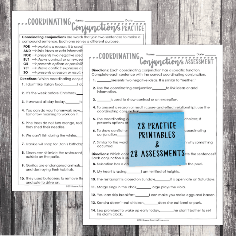 Fifth Grade Grammar Bundle • Teacher Thrive
