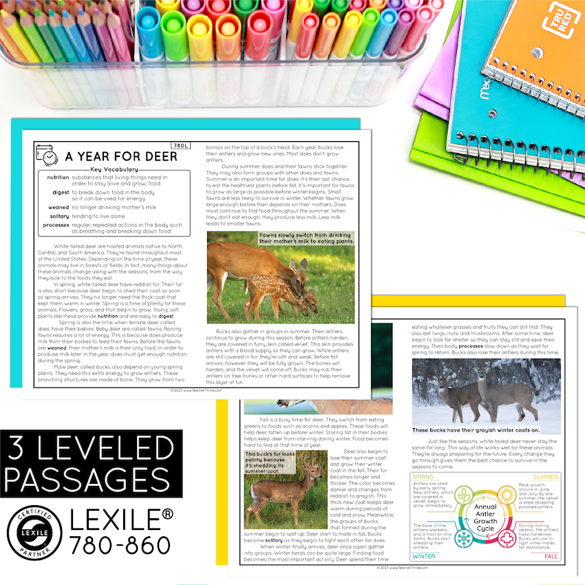 4th Grade Order and Sequence Nonfiction Text Structure Reading ...