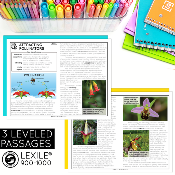 5th Grade Descriptive Nonfiction Text Structure Reading Comprehension ... 5th Grade Descriptive Nonfiction Text Structure Reading Comprehension ...