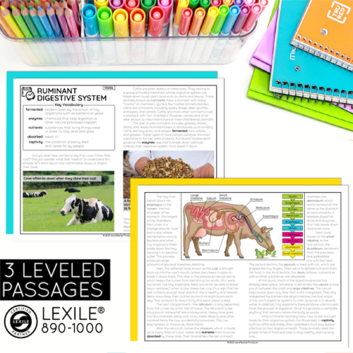 5th Grade Chronological Order Nonfiction Text Structure Reading ...