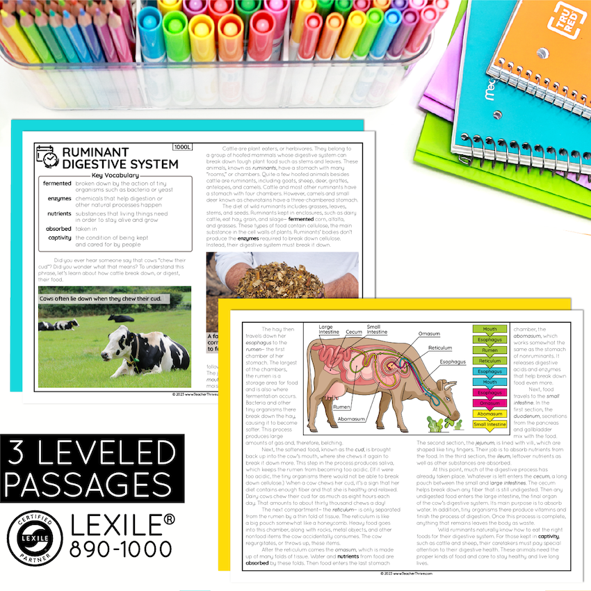 5th Grade Chronological Order Nonfiction Text Structure Reading ... 5th Grade Chronological Order Nonfiction Text Structure Reading ...